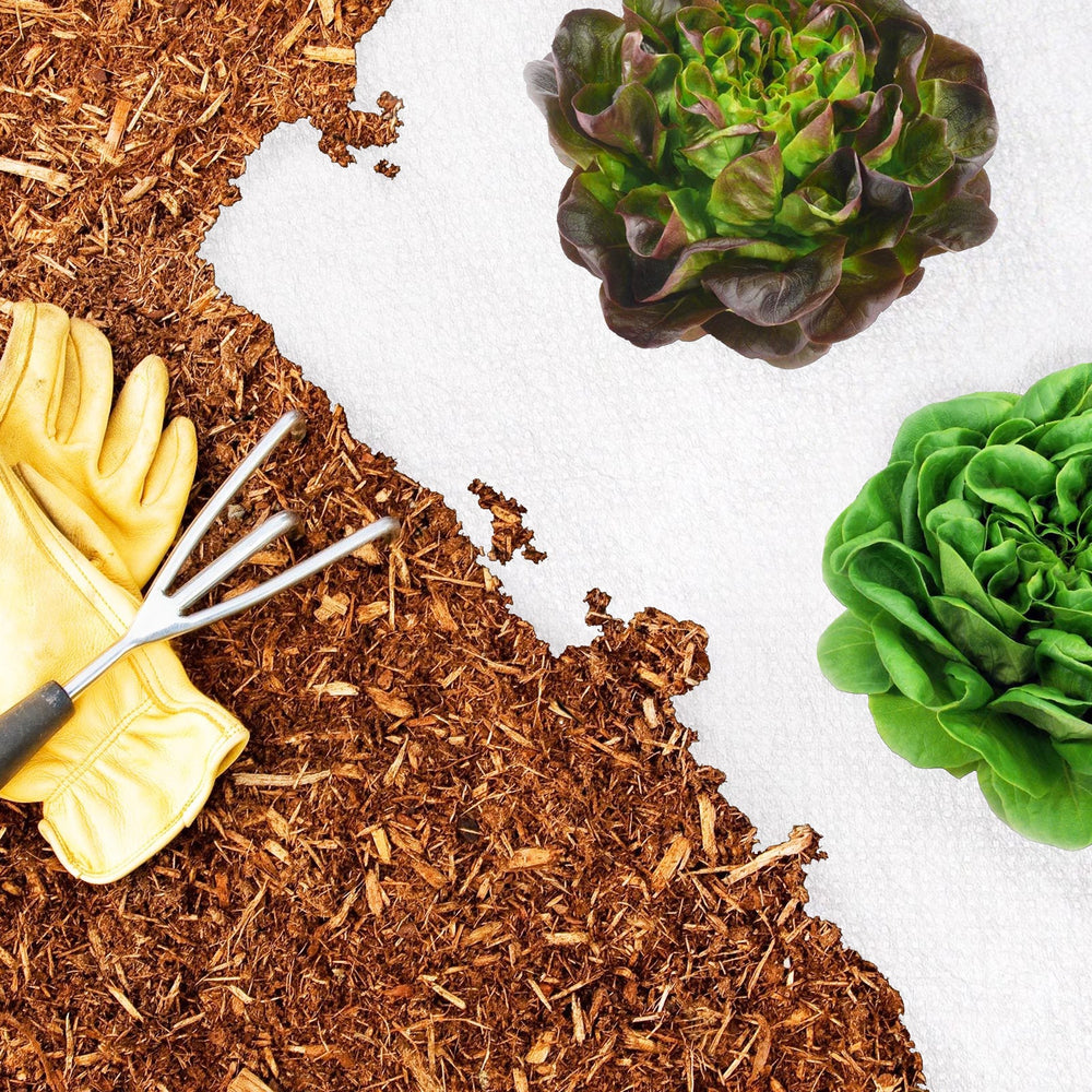 Weed Control Membrane | Ground Fleece | White | up to 150 g/m² | Versa