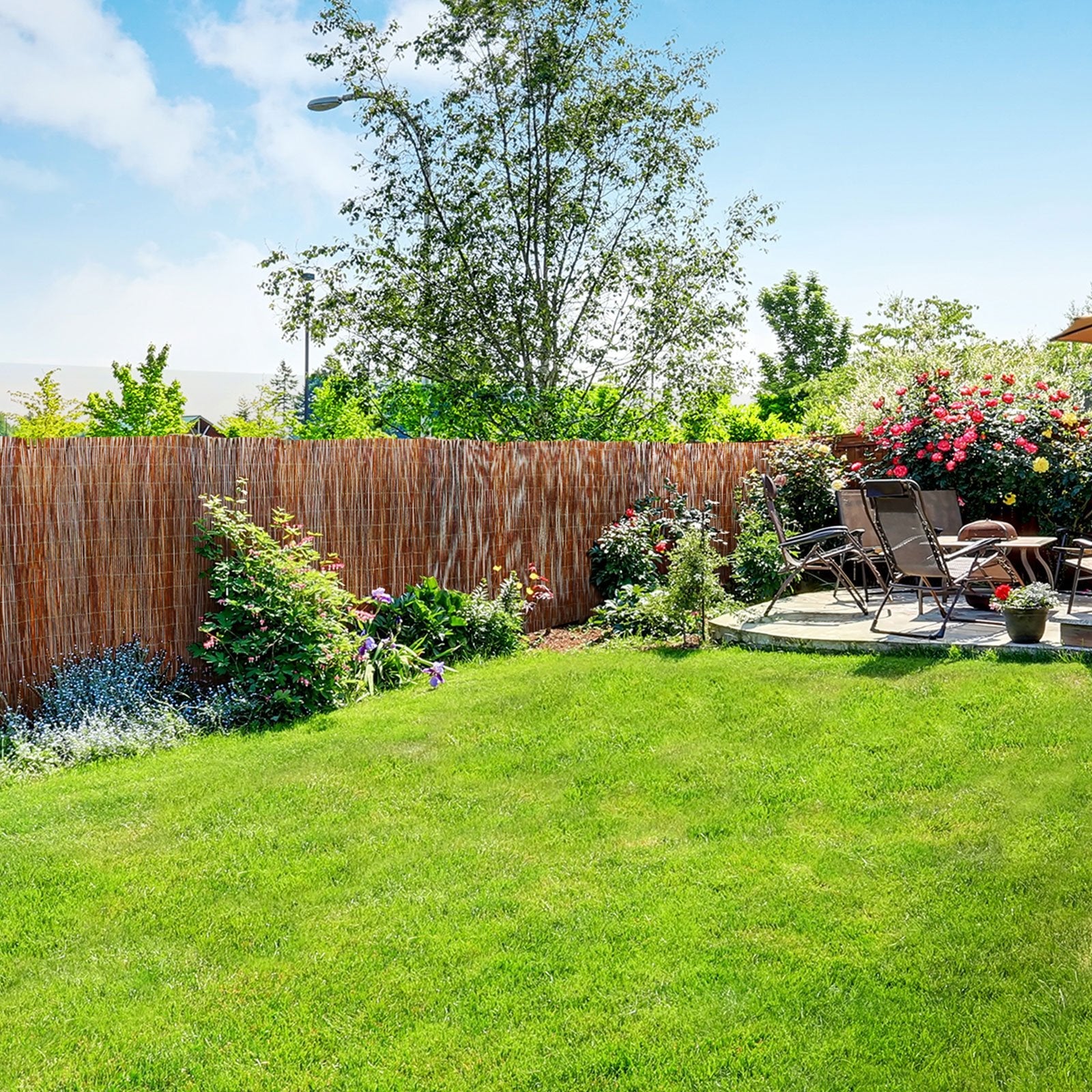 Willow Fence Screening | Natural Privacy Protection | Various Sizes ...