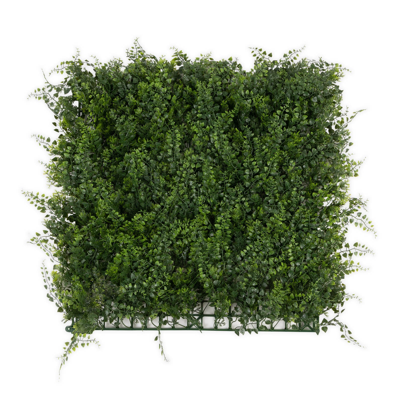 Artificial Plant Tile | Fern | Plant Tiles for Wall Mounting | 50 x 50 ...