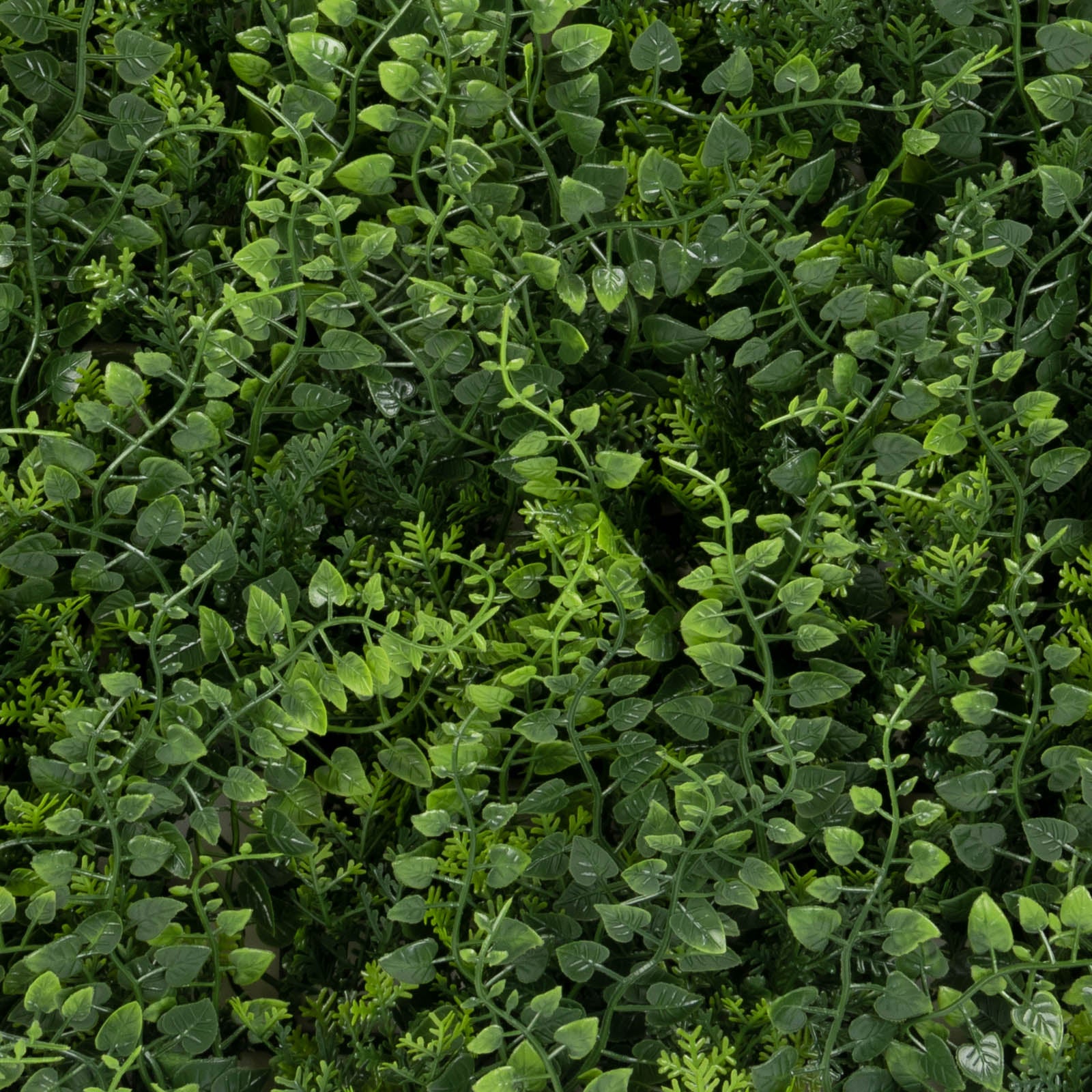 Artificial Plant Tile | Fern | Plant Tiles for Wall Mounting | 50 x 50 ...