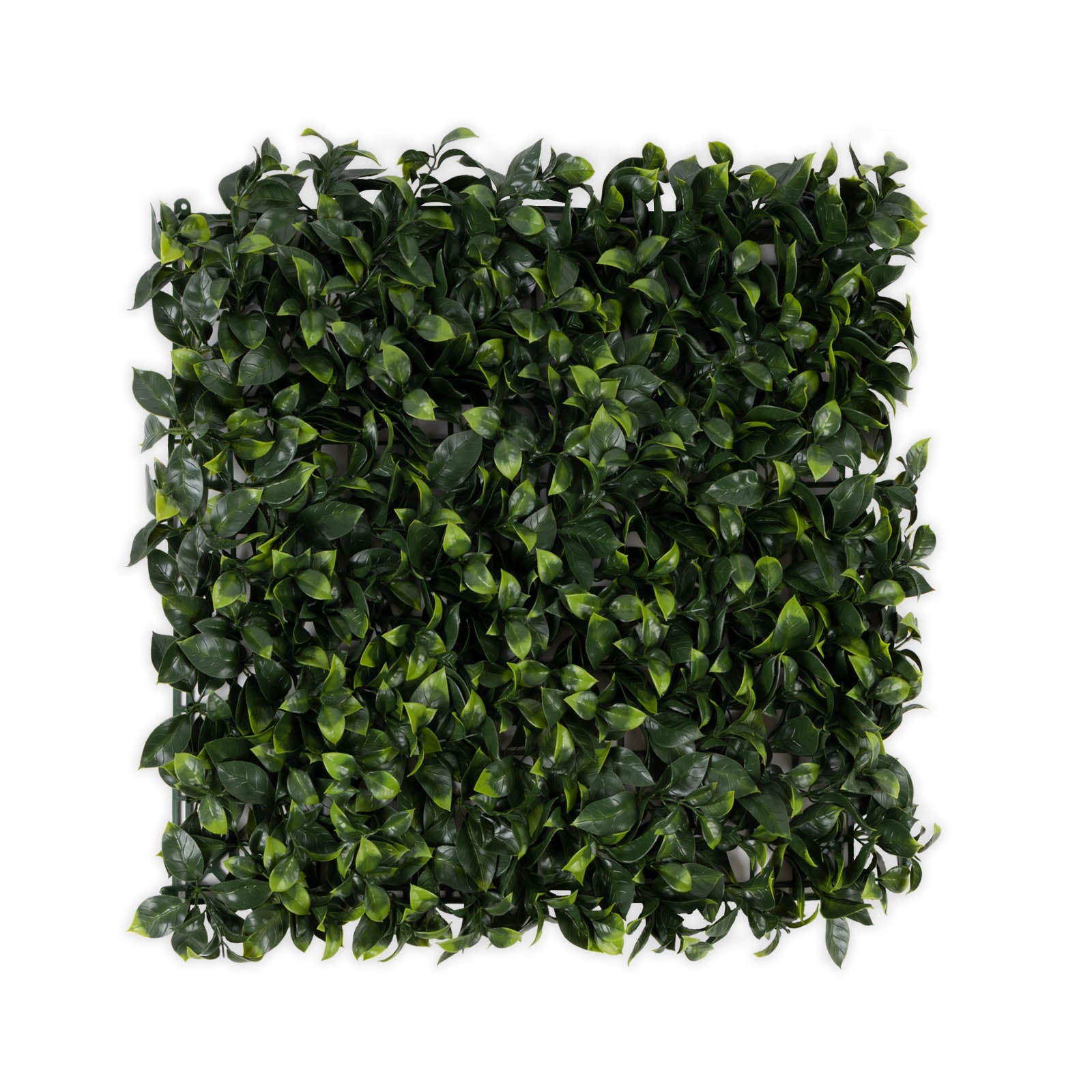 Artificial Plant Tile | Gardenia | Plant Tiles for Wall Mounting | 50 ...