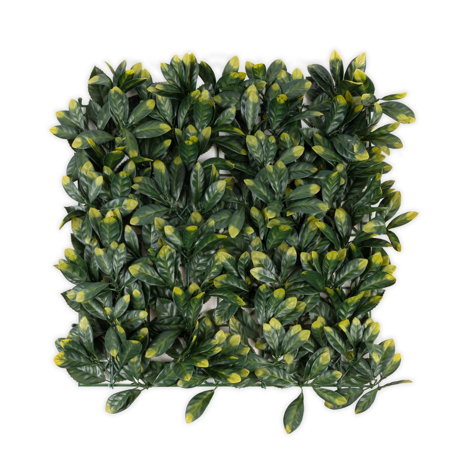 Artificial Plant Tile | Laurel | Plant Tiles for Wall Mounting | 50 x