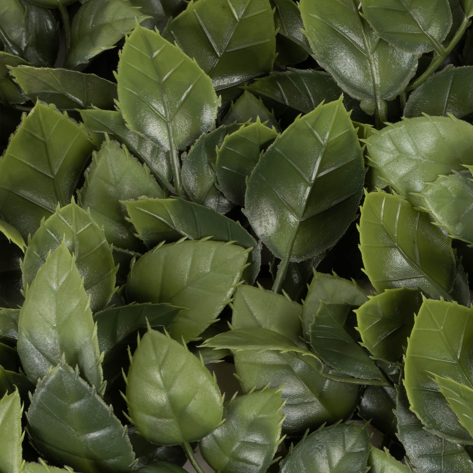 Artificial Plant Tile | Rose | Plant Tiles for Wall Mounting | 50 x 50 ...