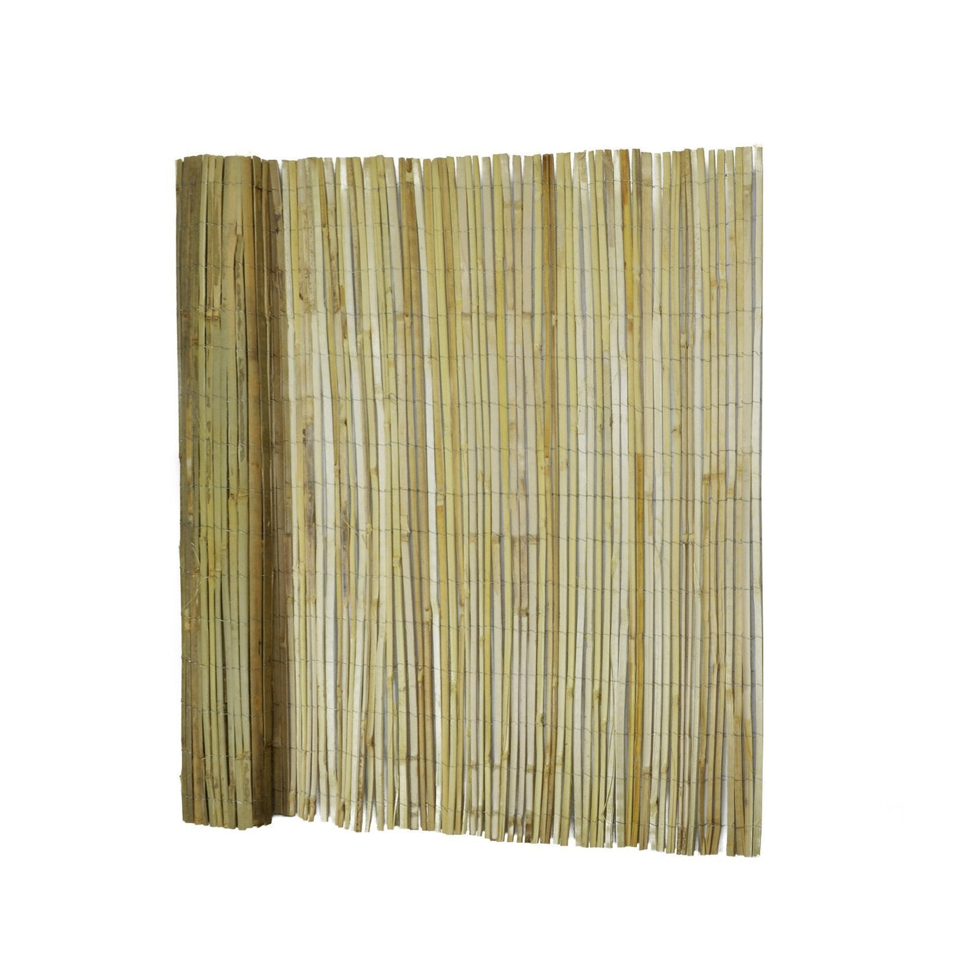 Bamboo Privacy Fence Brasil | Nature | Bamboo Cane Slat Fence