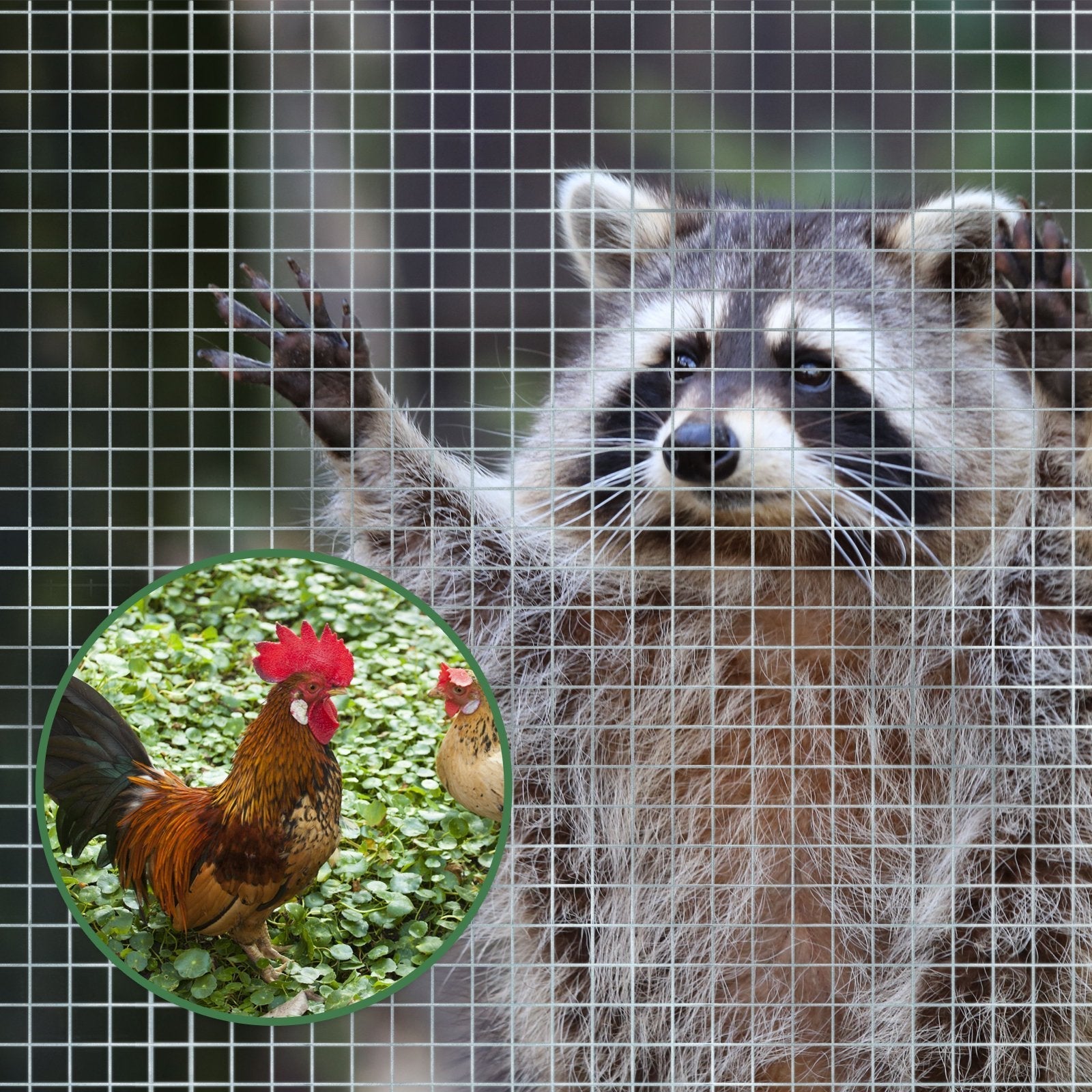 Wire Mesh | Vole Mesh | Galvanised | Mesh Size: 6.3 mm — Floordirekt UK