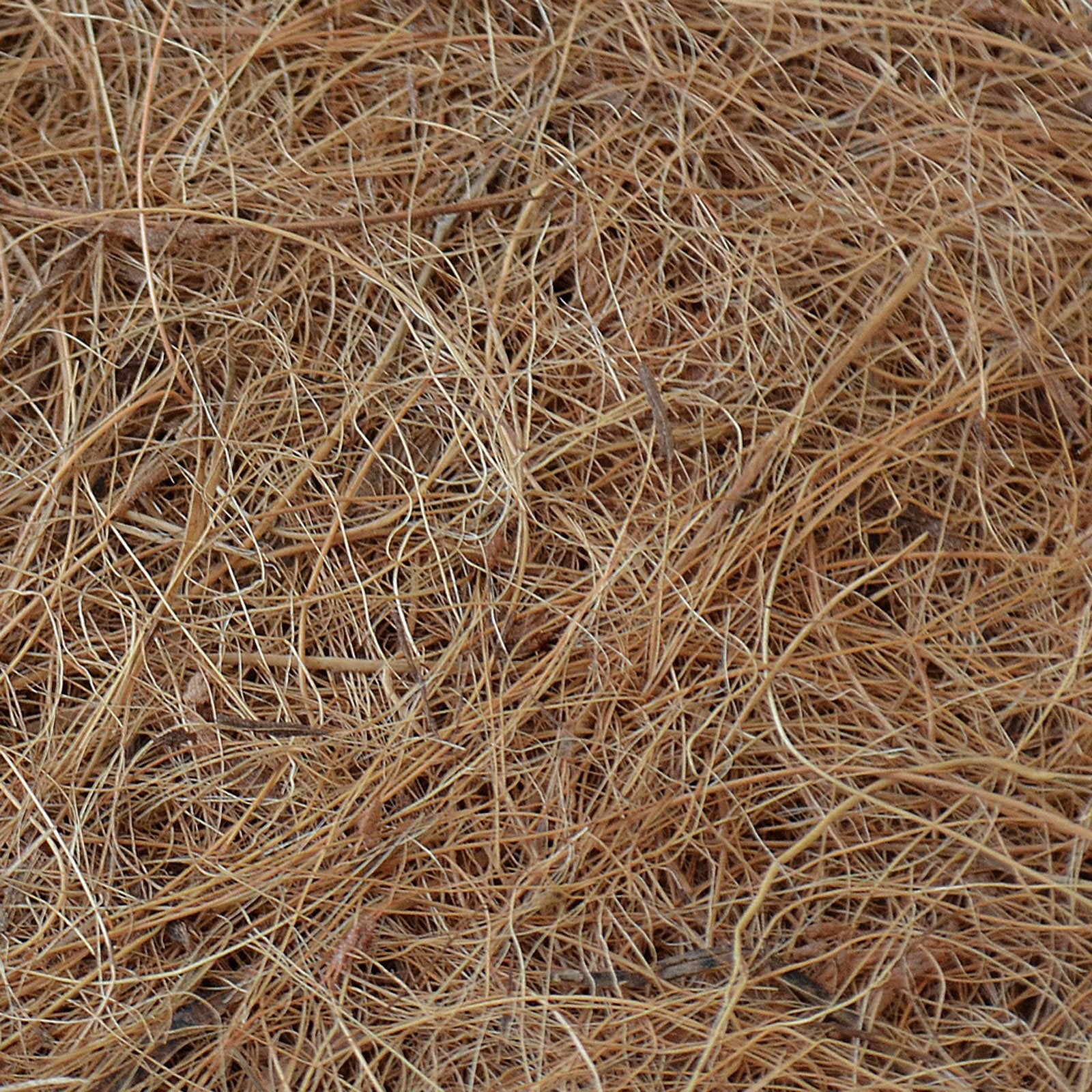 Coconut Mulching Discs | 100 % Coconut Fibre | Protection Covers Again ...